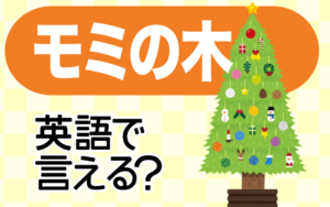 【もみの木】は英語で何て言う？飾りつけの英語や「リビングに飾る」などの英語をご紹介 | 英語の達人WORLD